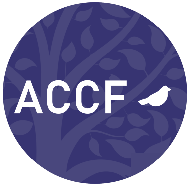 Home Page - Atlanta Cancer Care Foundation